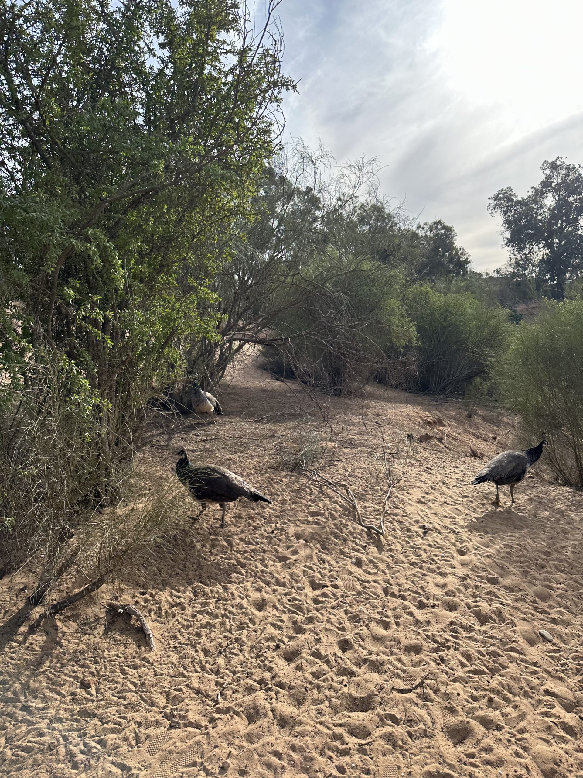 Agadir Medina - Magiczne stare miasto, które musisz zobaczyć!